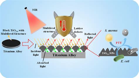 Titanium And Titanium Alloys As Biomaterials At Eden Barclay Blog