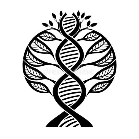 Dna Tree Genetic Code And Life Biological Symbol Black And White Stock Vector Illustration