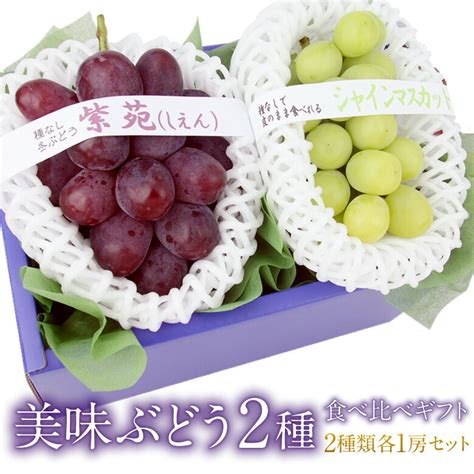 ぶどう フルーツ くだもの 果物 ぶどう Sixmatrixjp