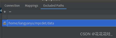 pycharm2022 2 远程连接服务器调试代码 本地pycharm远程跑代码 脚本路径怎么调 CSDN博客