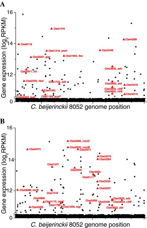 Identification Of Highly Expressed Genes In Samples B And D By Plotting