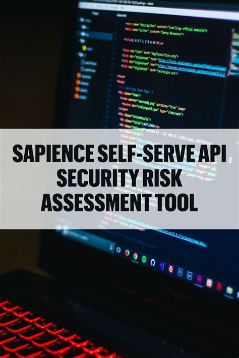 sapience self serve api security risk assessment tool assessment