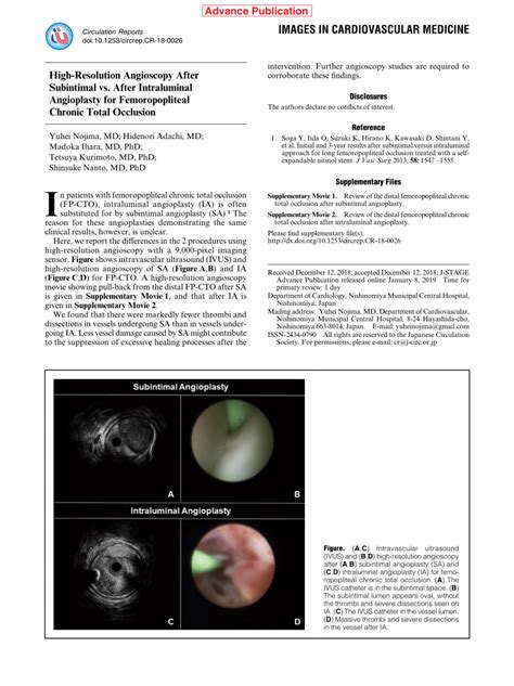Pdf High Resolution Angioscopy After Subintimal Vs After