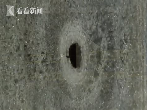 美国全年已发生610起大规模枪击案 9国发布赴美旅行警告公民枪支暴力