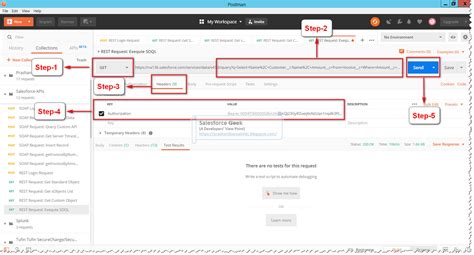 Salesforce Rest Api How To Execute Soql Queries Using Rest Apis