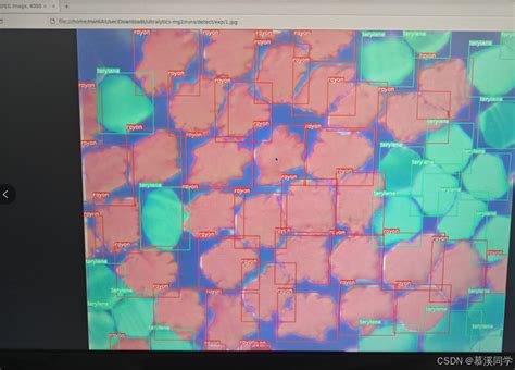【香橙派开发板测试】：在黑科技orange Pi Aipro部署yolov8深度学习纤维分割检测模型 技术栈