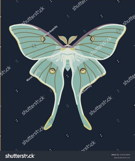 Luna Moth American Moon Moth Stock Vector Royalty Free 2192314659 Shutterstock