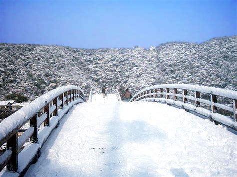 錦帯橋雪景色魅せられる町岩国 旅と冩眞