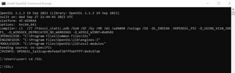 Generate RSA Private Key And Certificate Request In OpenSSL Command
