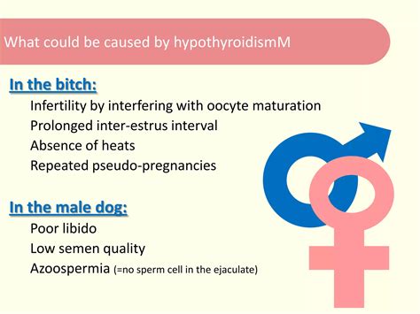 Canine Hypothyroidism Part Ii Ppt