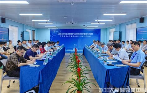 功能材料绿色制备与应用教育部重点实验室学术委员会年会召开 湖北大学科学技术发展研究院