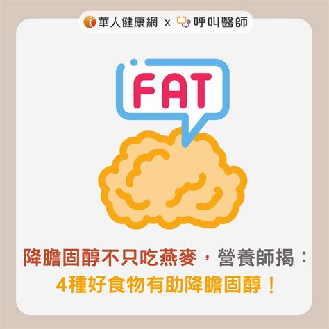 華人健康網 提到降膽固醇的食物，令人馬上聯想到的食物就是燕麥 ️黃曉彤營養師表示，其實會這麼想也不是沒道理，除了因