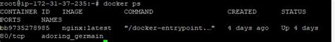 Docker Ps Command Everything You Need To Know