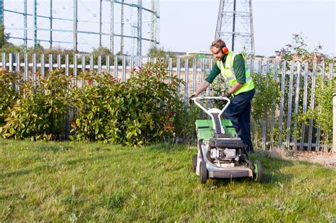 Garden Clearance Services In London And Surrey Free Waste Removal