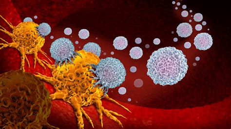 Researchers Find Drug Improves Cancer Immunotherapy In Mice