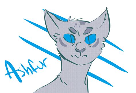 Ashfur Gif By Shimmerspirit On Deviantart