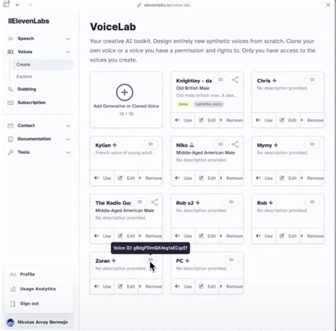 Build a Custom Voice AI Agent With ElevenLabs API
