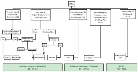 Bclc Staging System Ps Performance Status Os Overall Survival Download Scientific Diagram