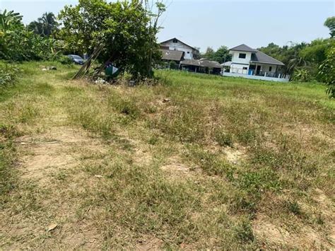 ขายที่ดินตำบลเชิงดอยบ้านร้องขี้เหล็กดอยสะเก็ตห่างถนนหลัก 900 เมตรโฉนด ที่ดินร้อยแปด คอม