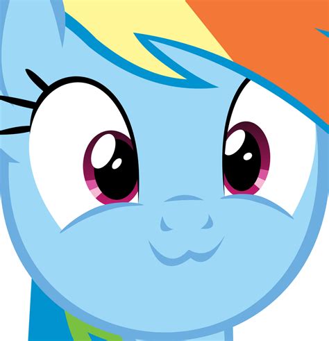 Rainbow Dash Vector 14 Catface By Cyanlightning On Deviantart