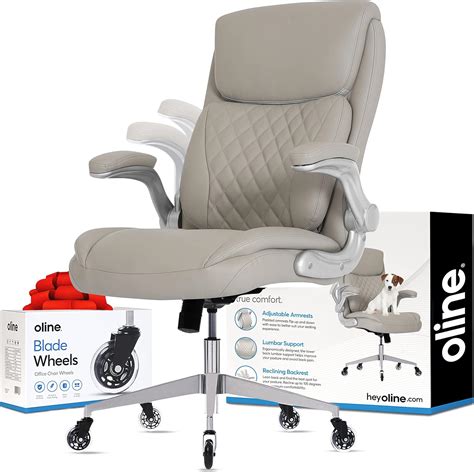 Oline Ergonomic Executive Office Chair Rolling Home Desk