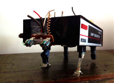 Kafkas Beetle Diana Chester