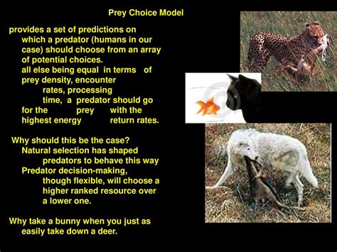 human evolutionary ecology ppt download