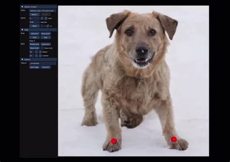 Drag Your Gan Interactive Point Based Manipulation On The Generative