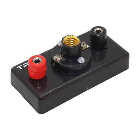 Female Internal External Genital Organs