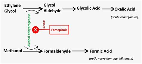 Bridging The Gap How Do You Interpret An Osmolal Gap The Hospitalist