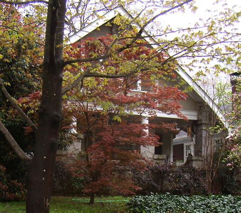 Architecture Tourist What Are Columns In Antis