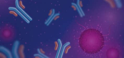 吉满生物科技（上海）有限公司