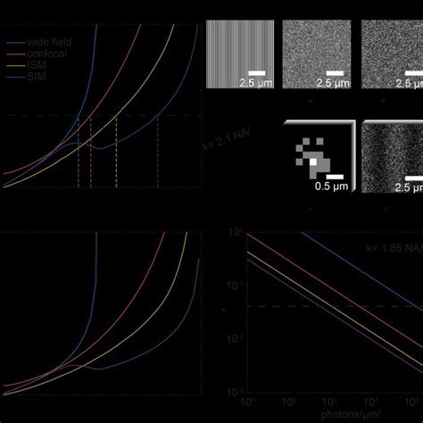 Comparison Of Four Imaging Modalities Wide Field Microscopy Confocal