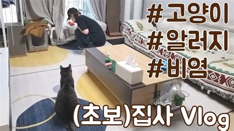 고양이 키우기전엔 몰랐던 것들 초보집사의 일상 Youtube
