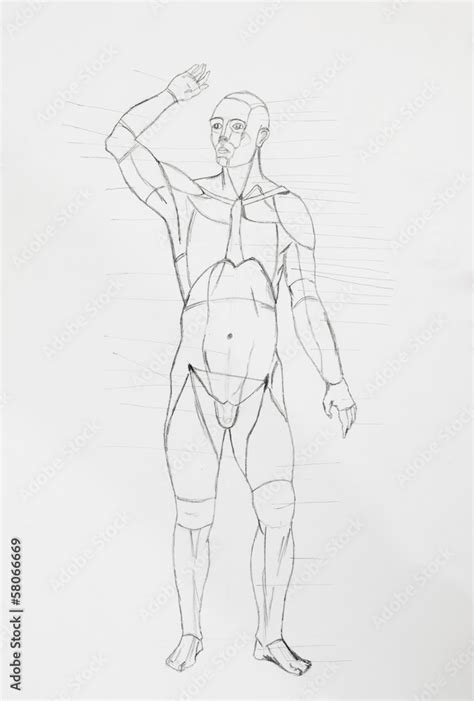 Detail Of Human Front Body Pencil Drawing On White Paper Stock Photo