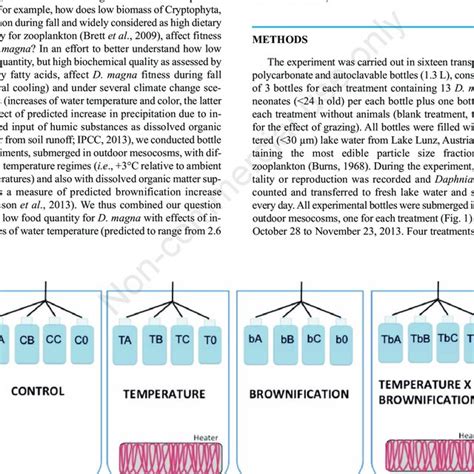 Experimental Setup With Test Bottles 3 Replicates Per Treatment