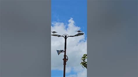 바람이 부는 날에김호중 Youtube