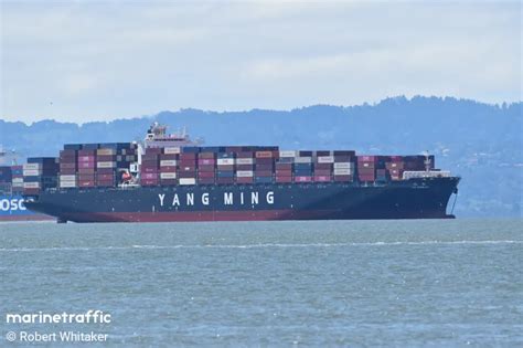 Ym Mobility Container Ship Imo 9457737 Vessel Details