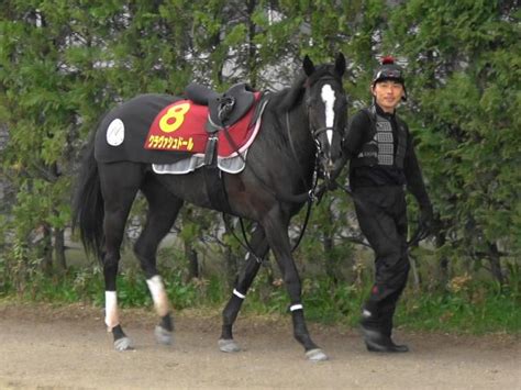 【桜花賞】クラヴァシュドール陣営「馬体がいい意味で大人びてきて、すごくいいかんじ」ねぇさんのトレセン密着 競馬ニュース Netkeiba
