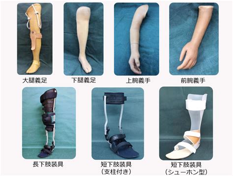 取扱製品 義肢装具 渡辺義肢製作所