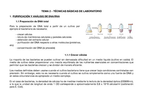 Descubre Cómo Los Detergentes Causan Lisis Celular