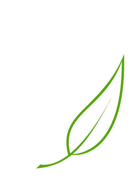 Leaf Vector Clipart Best