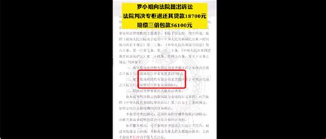 Lv专柜售卖假货被判退一赔三 网友围观直呼太坑人：官方回应售假欺诈 新闻频道 和讯网