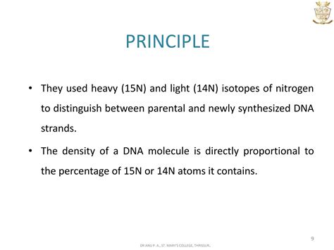 Dna Replication Prokaryotes Ppt