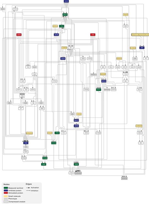 Figures And Data In Unveiling The Signaling Network Of Flt3 Itd Aml