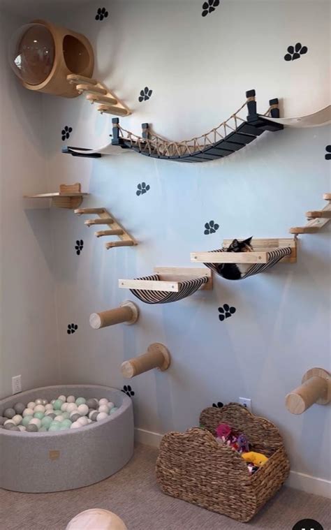 Pin di Aunty Glo Maui su Here Kitty Kitty! | Parco giochi per gatti ...