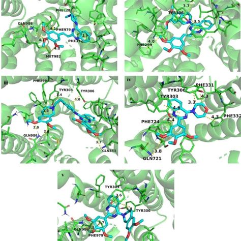 Binding Pose Of The Most Active Compounds 1 D I 1 E Ii 2 A Iii