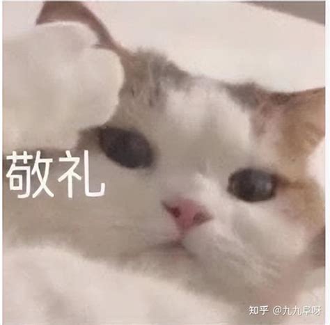 Appium元素定位之元素定位工具（appium Inspector）篇 知乎
