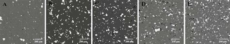 Sem Micrographs Of The Internal Microstructure Of The Composite Cu W