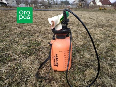 Як обрізати вишню навесні докладний майстер клас з фото Моє домашнє натхнення